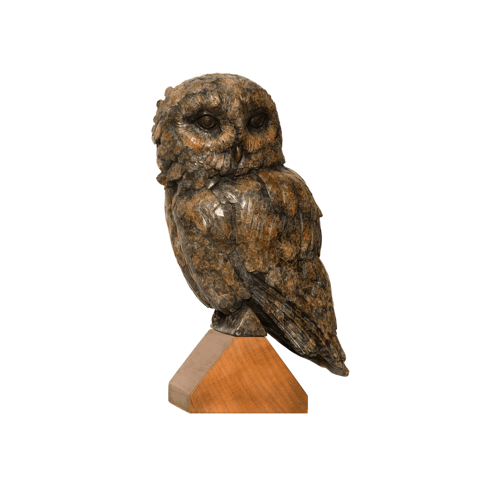 Tawny Owl – Catherine Best